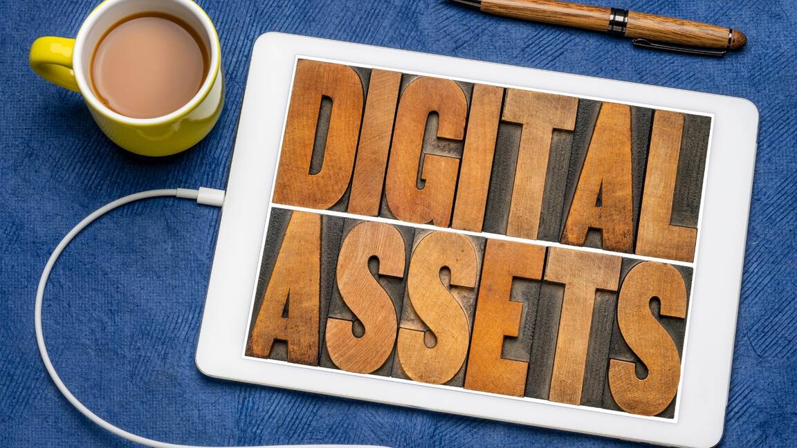 Top Digital Asset Management Software You Shouldn’t Miss in 2025 - Best ...